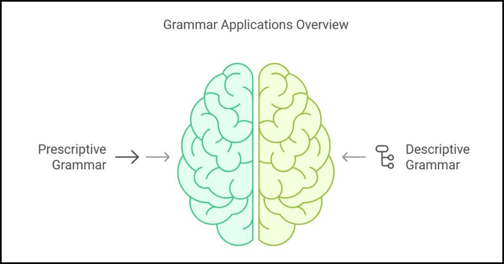 Descriptive Vs Prescriptive Grammar : Which Should You Follow? Descriptive Vs Prescriptive Grammar : Which Should You Follow?