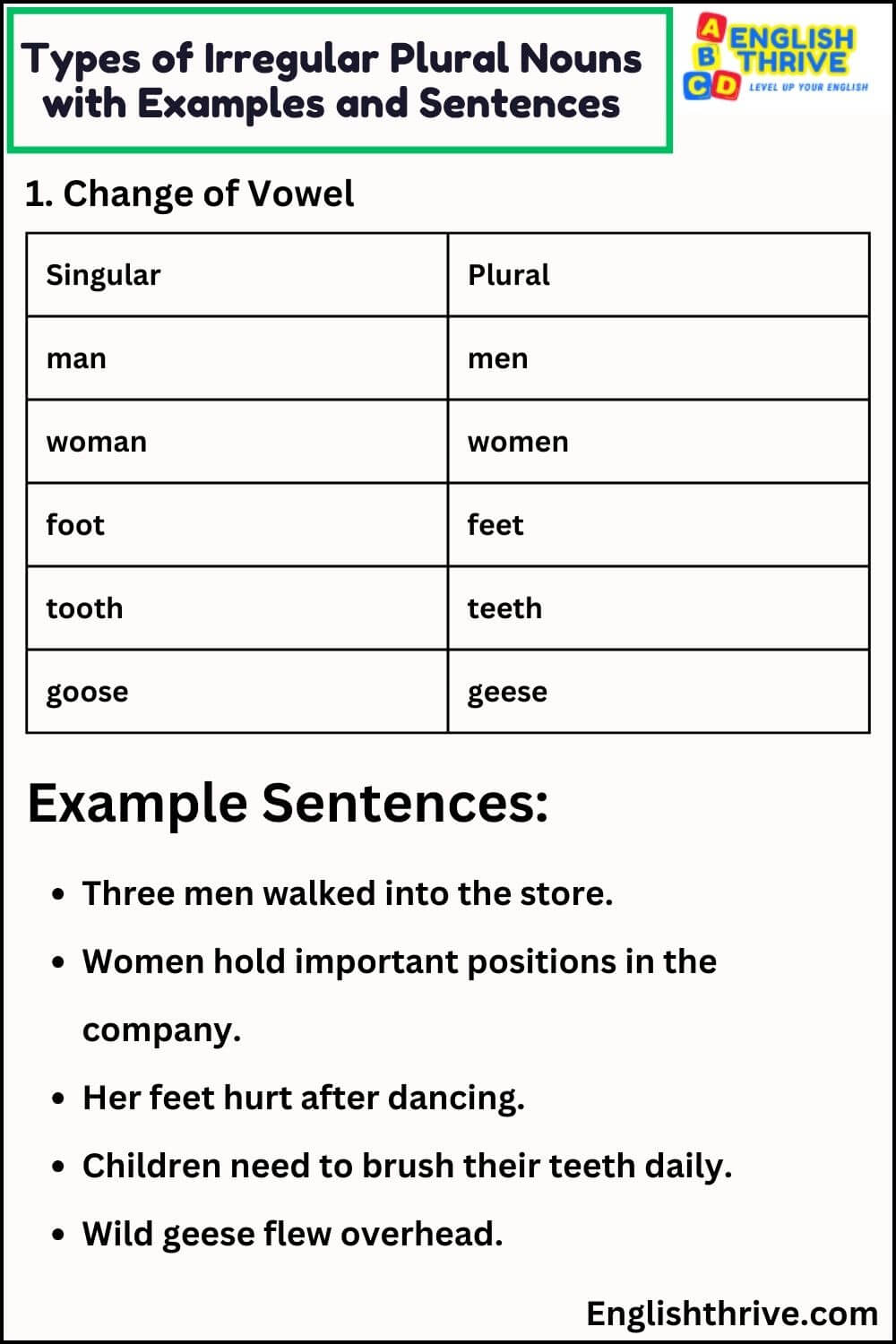 146 Irregular Plural Nouns Examples - Definition Rules And Exercises