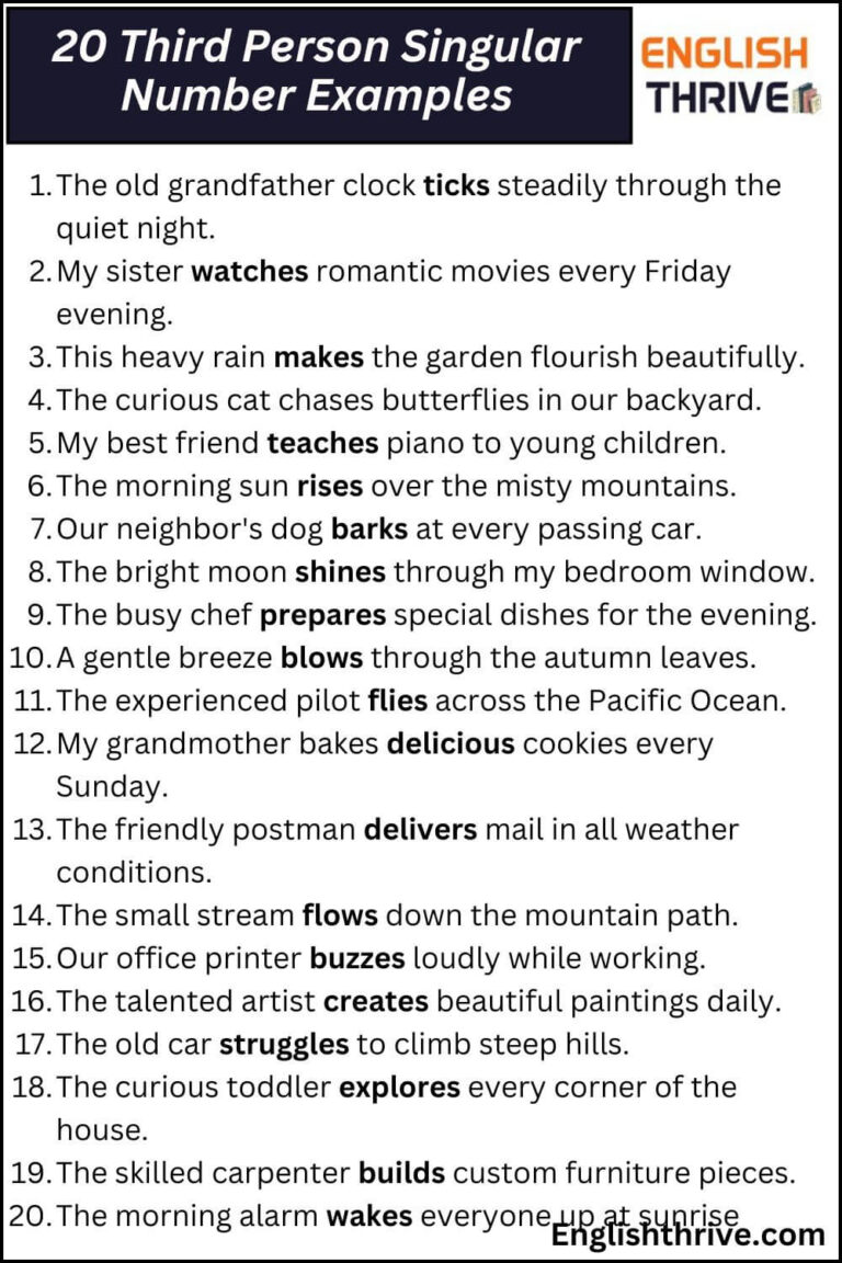 The Third Person Singular Number Definition, Lists, And Examples