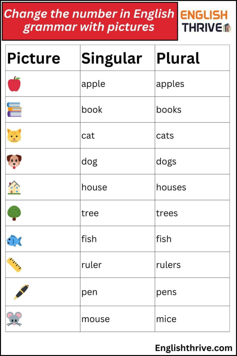 Singular And Plural Numbers Exercises