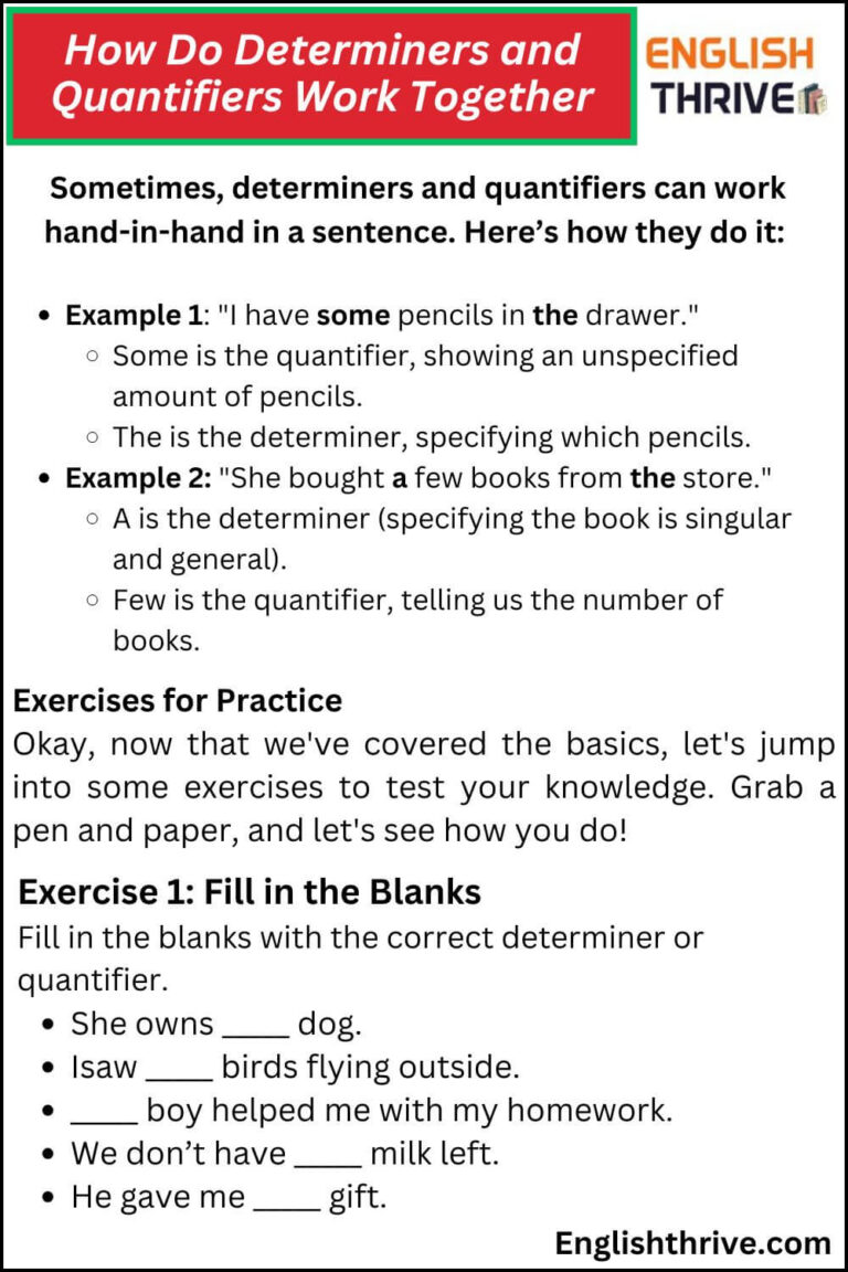 A Deep Dive Into Determiners And Quantifiers In English