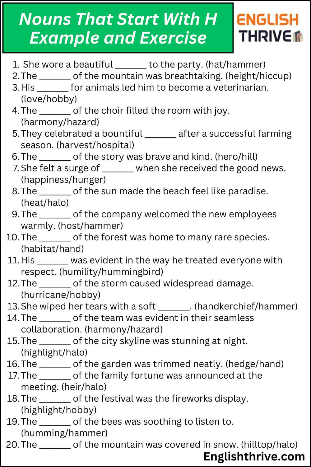 Nouns That Start With H- Example And Exercise