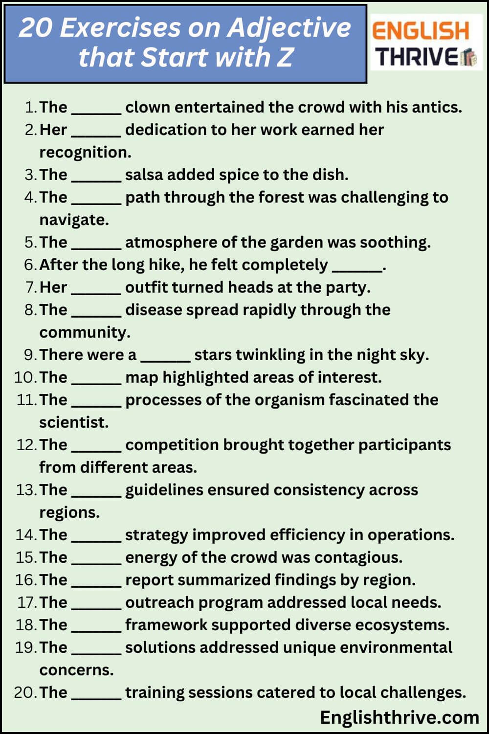 Adjective That Start With Z Example And Exercise