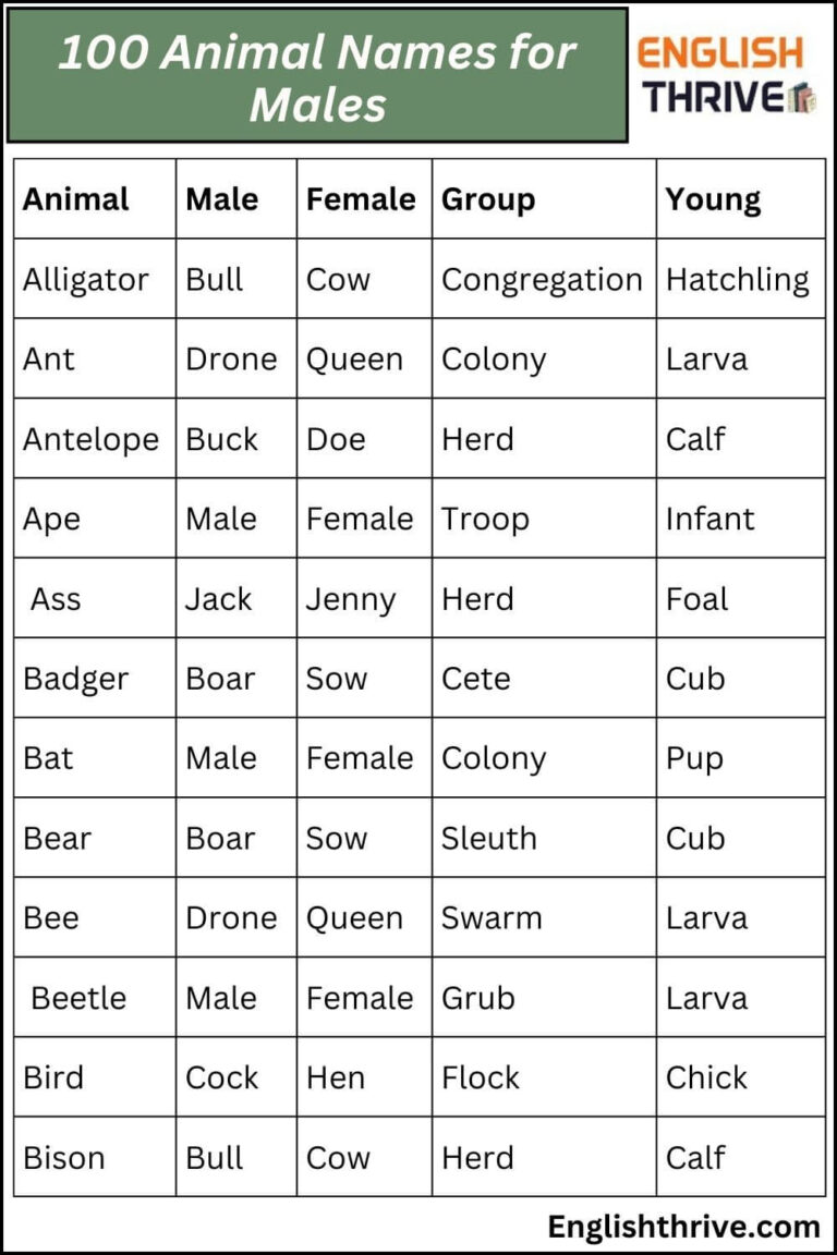100 Animal Names For Males, Females, Young, And Groups