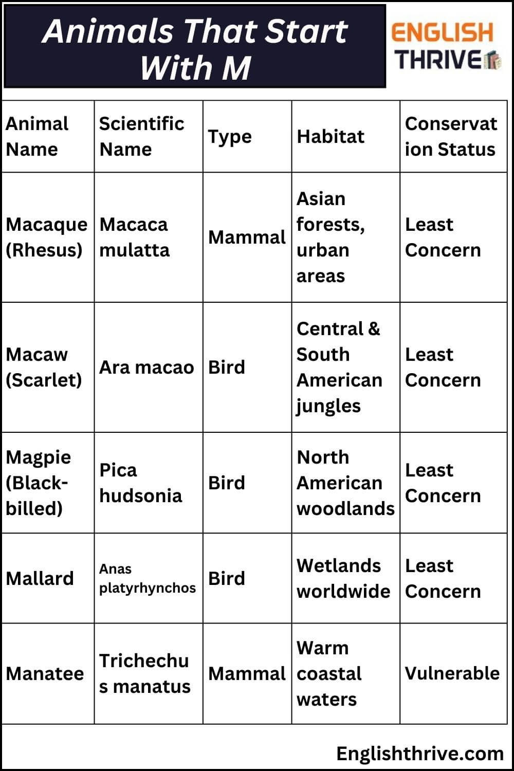 Animals That Start With M