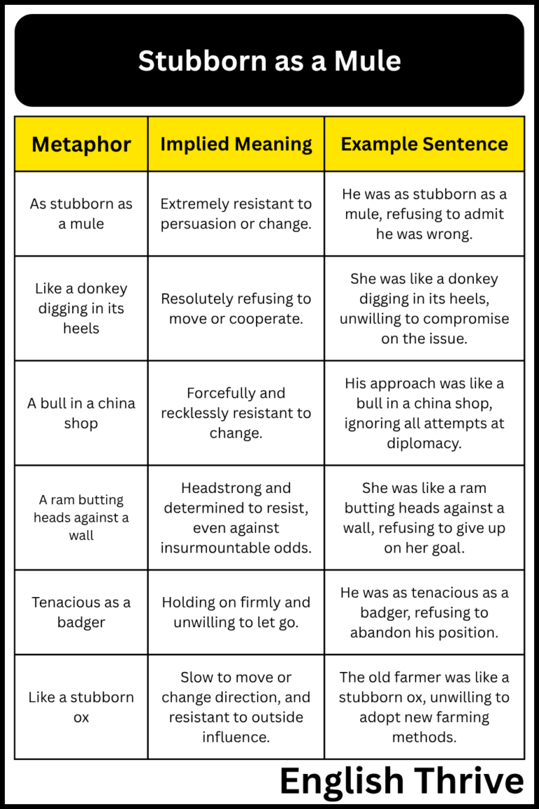 Metaphors For Stubbornness