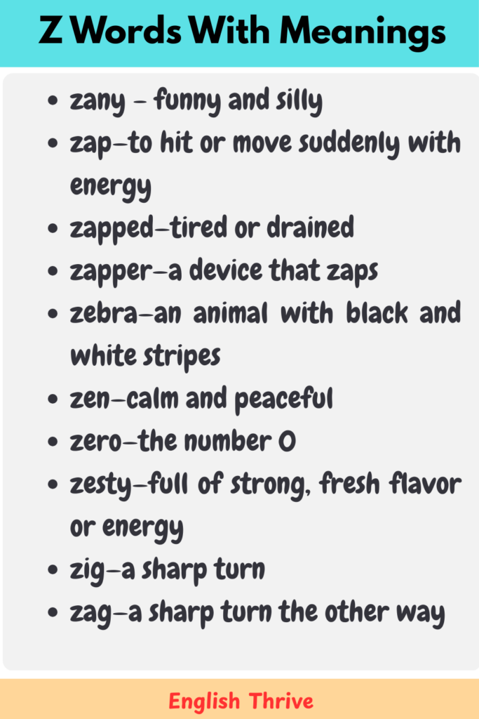 Common Words That Start With Z